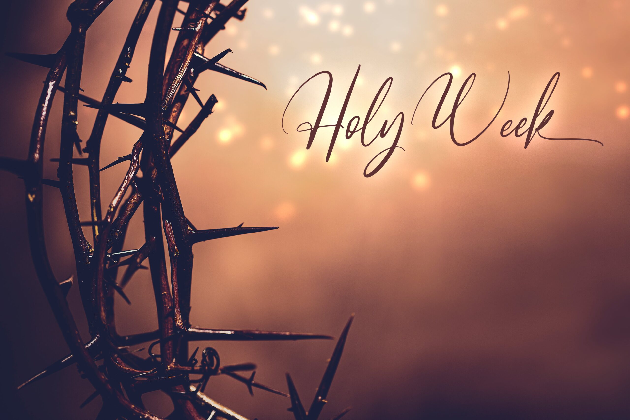 HOLY WEEK 2024 St Joseph Catholic Community HOLY WEEK 2024 St Joseph Catholic Community
